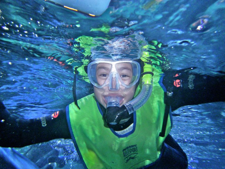 Swim With The Fish | Dive the Downtown Aquarium with A-1 Scuba